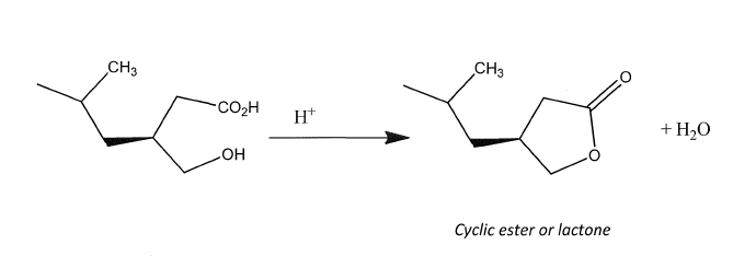Solved CH CO2H OH CH cyclic ester or lactone H2O | Chegg.com