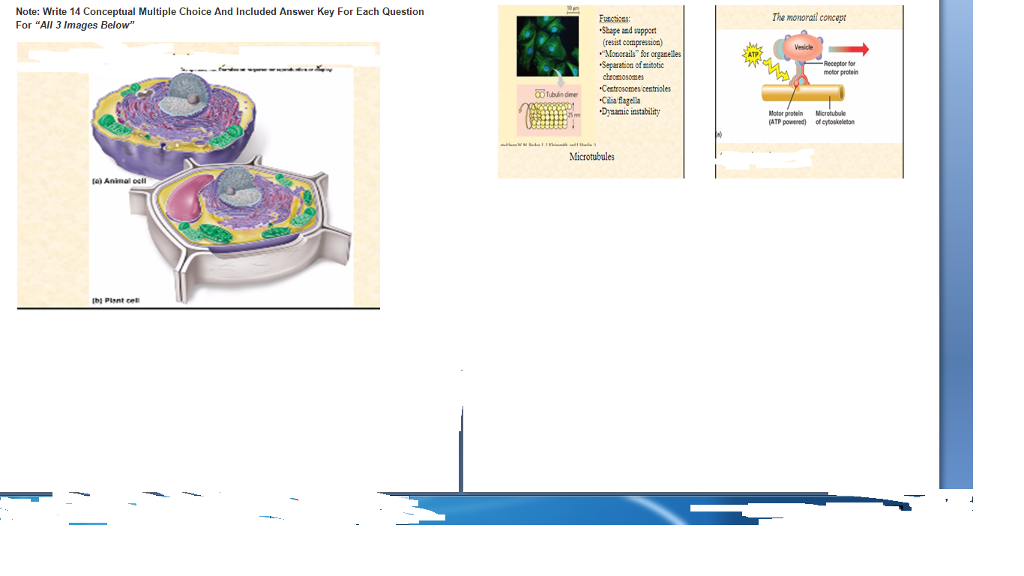 Solved Note: Write 14 Conceptual Multiple Choice And | Chegg.com