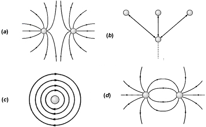 Solved 1) The electric field lines around an electrical | Chegg.com