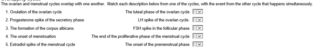 Solved The ovarian and menstrual cycles overlap with one | Chegg.com