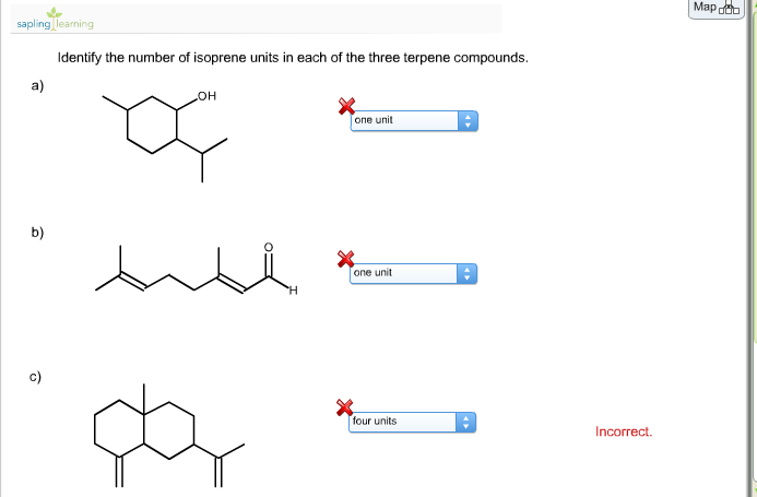 Isoprene Units
