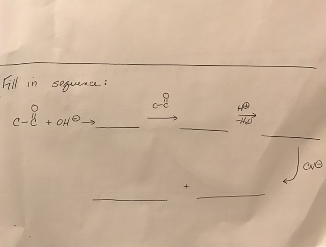 Solved Fill in sequence: | Chegg.com
