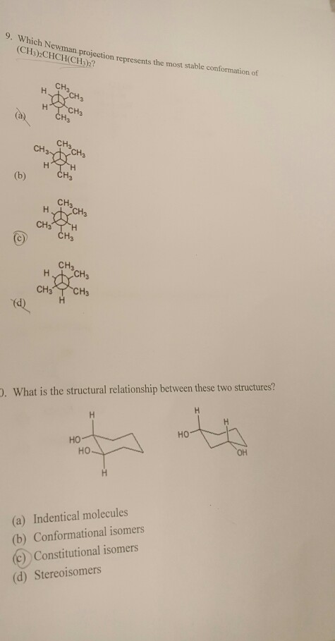 Solved Which Newman projection represents the most stable | Chegg.com