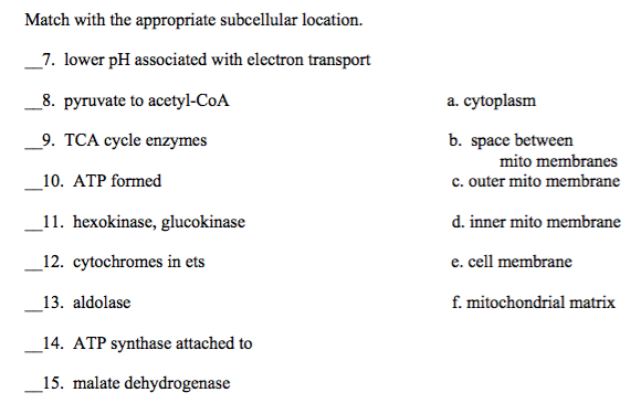 Solved Match with the appropriate subcellular location. -7. | Chegg.com