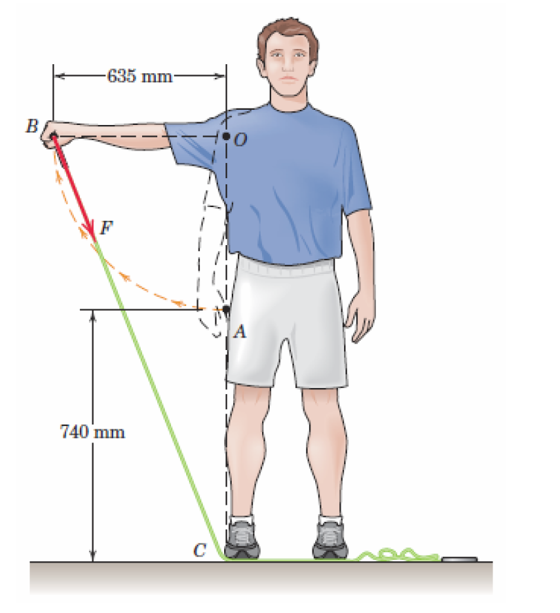 Solved An exerciser begins with his arm in the relaxed | Chegg.com