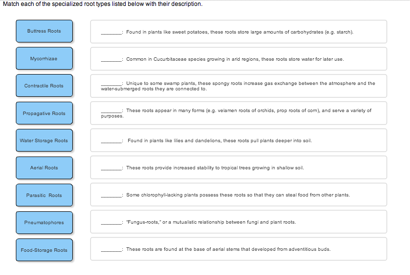 Solved Match each of the specialized root types listed below | Chegg.com