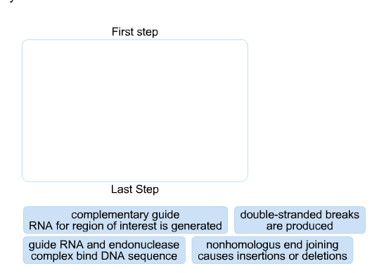Solved Place the steps of the clustered | Chegg.com