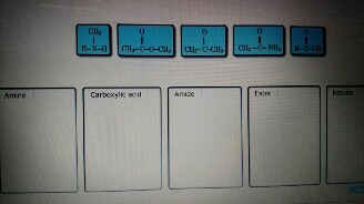 Solved classify each of the following compounds according to | Chegg.com