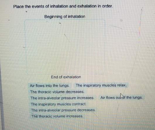 Solved Place the events of inhalation and exhalation in | Chegg.com
