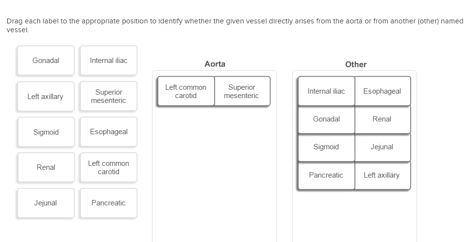 Solved Drag each label to the appropriate position to | Chegg.com Solved Drag each label to the appropriate position to | Chegg.com