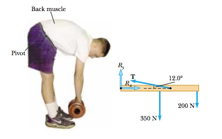 Solved A person bending forward to lift a load “with his | Chegg.com