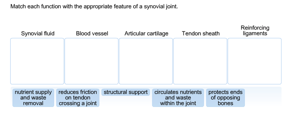 Solved Match each function with the appropriate feature of a | Chegg.com