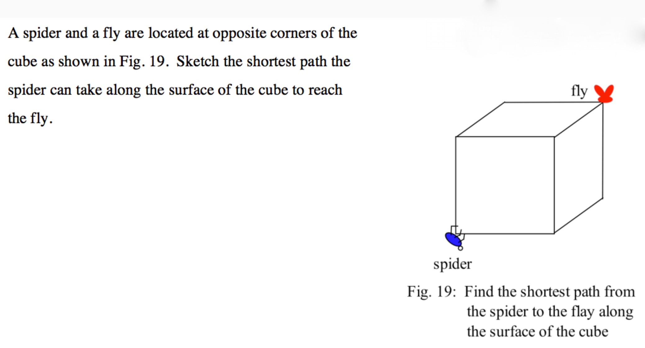 Solved A spider and a fly are located at opposite corners of | Chegg.com