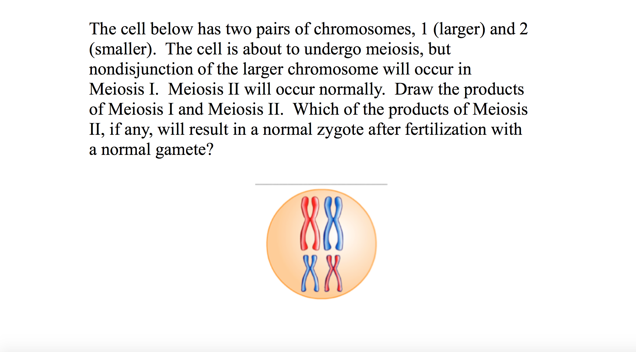 Solved The cell below has two pairs of chromosomes, 1 | Chegg.com