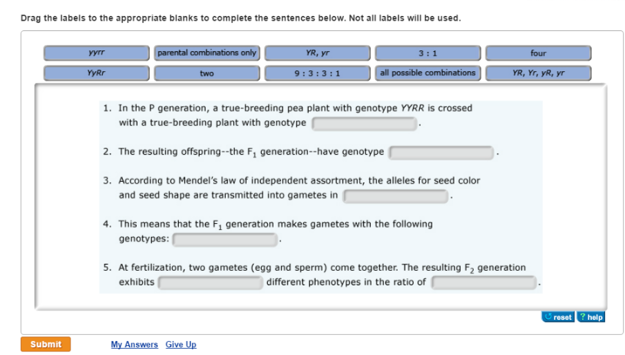 Solved Make Connections: Chromosomal Inheritance and | Chegg.com