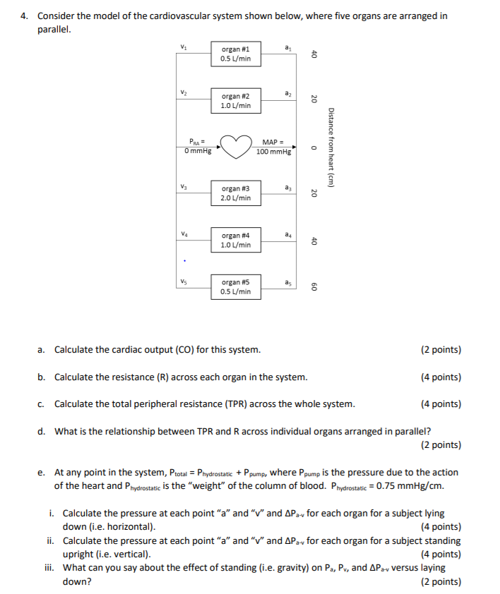 Solved 4. Consider the model of the cardiovascular system | Chegg.com