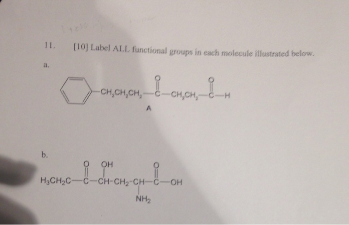 Solved Label ALL functional group in each molecule | Chegg.com