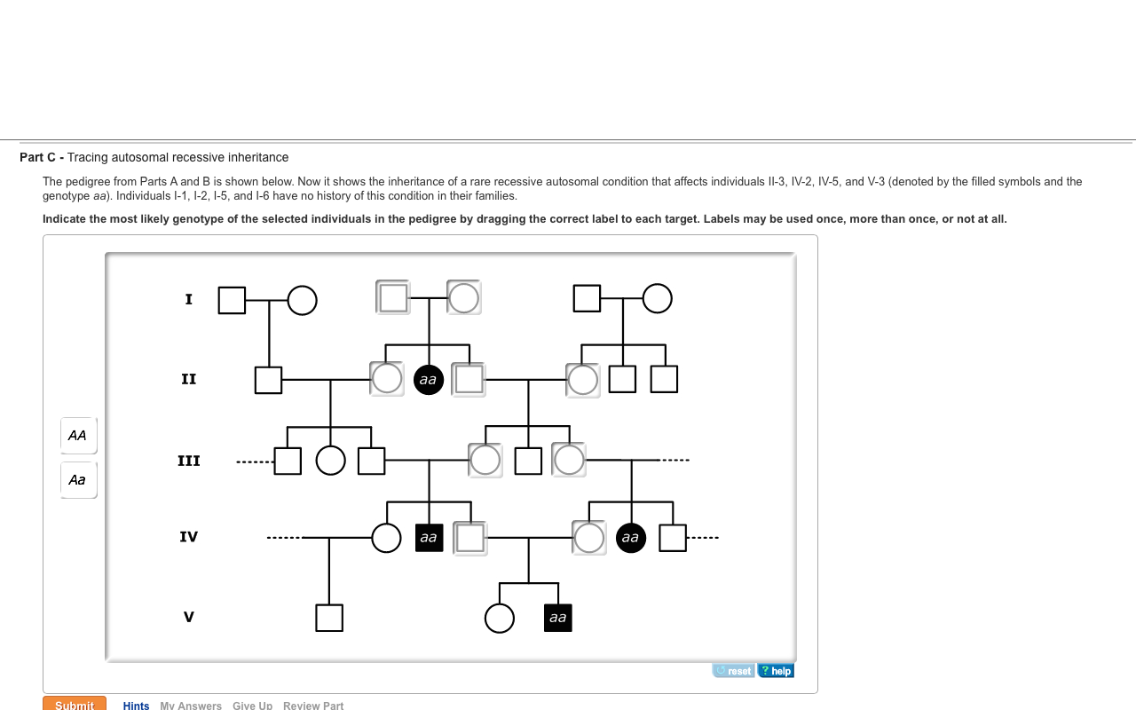 Solved The pedigree from Parts A and B is shown below. Now | Chegg.com