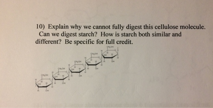Solved Explain why we cannot fully digest this cellulose | Chegg.com