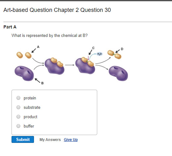 Solved What Is Represented By The Chemical At B Protein