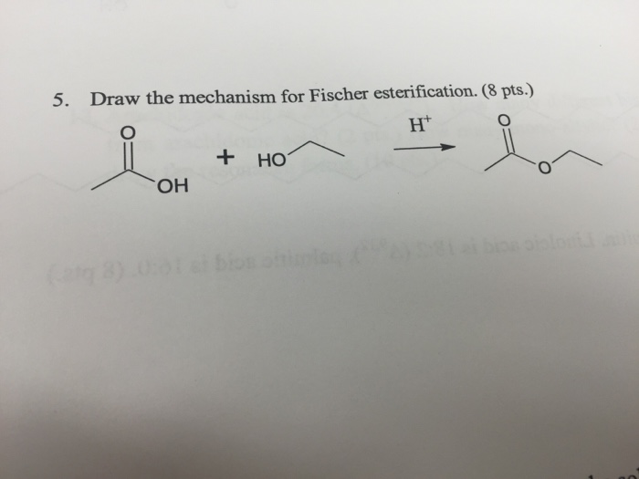 Solved Draw the mechanism for Fischer esterification. | Chegg.com
