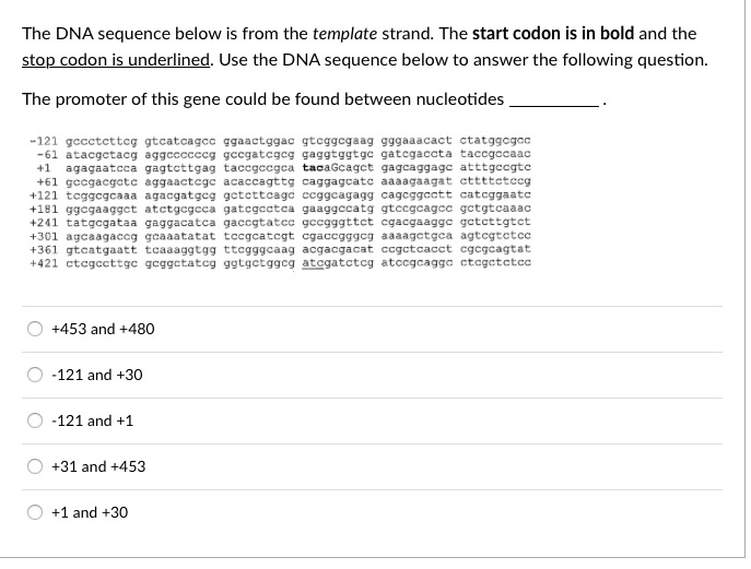 Solved The DNA sequence below is from the template strand. | Chegg.com