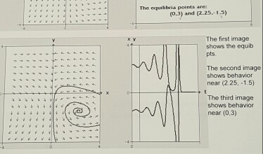 Solved In this image, note the oscillating behavior of the x | Chegg.com