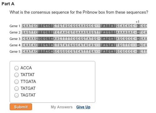 Solved Someone please help, I don't understand what a | Chegg.com