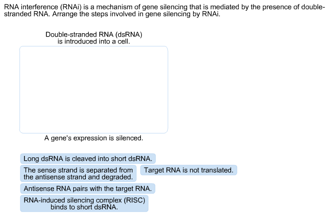 Solved RNA interference (RNAi) is a mechanism of gene | Chegg.com