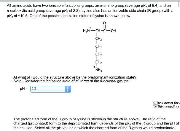 Lysine Structure Charged