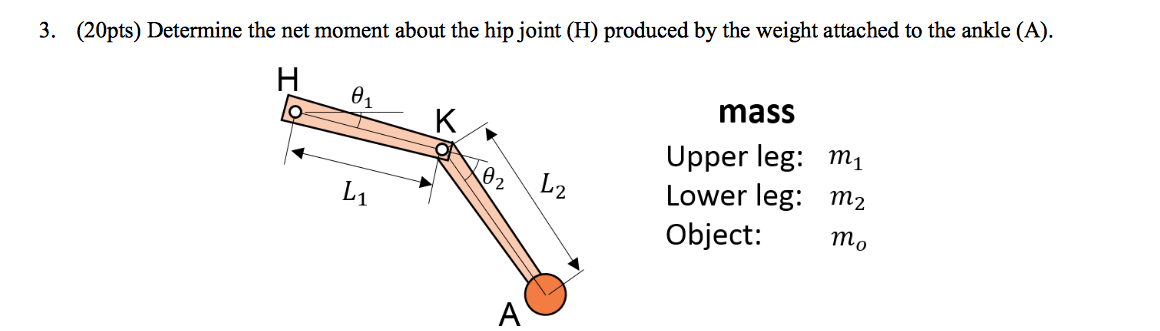 Determine the net moment about the hip joint (H) | Chegg.com