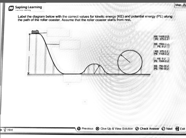 Solved: Map Cru Sapling Learning Label The Diagram Below W... | Chegg.com