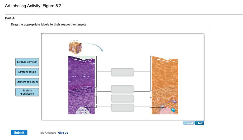 Biology Archive | June 06, 2017 | Chegg.com