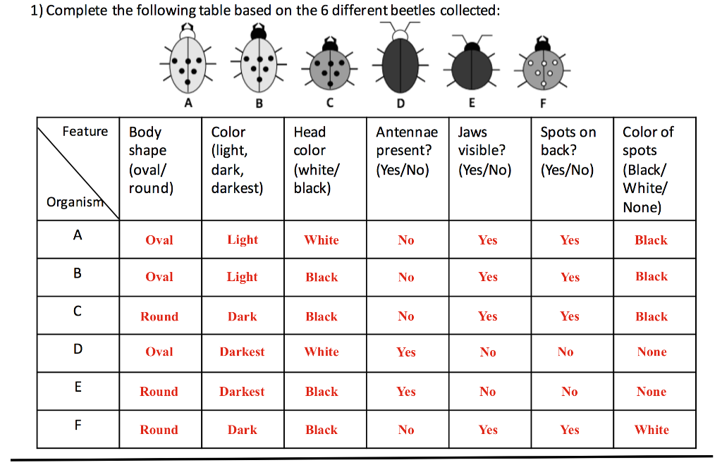 Solved 1) Complete the following table based on the 6 | Chegg.com
