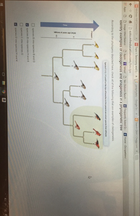 Solved Identify examples of cladogenesis and anagenesis in a | Chegg.com