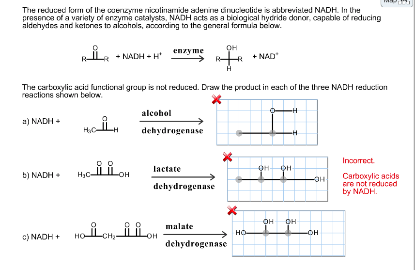 Solved The reduced form of the coenzyme nicotinamide adenine | Chegg.com
