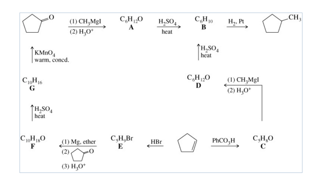 Solved Determine the structure of compound D, including | Chegg.com