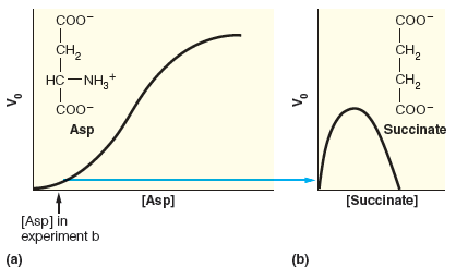 Solved The allosterically regulated enzyme ATCase binds | Chegg.com