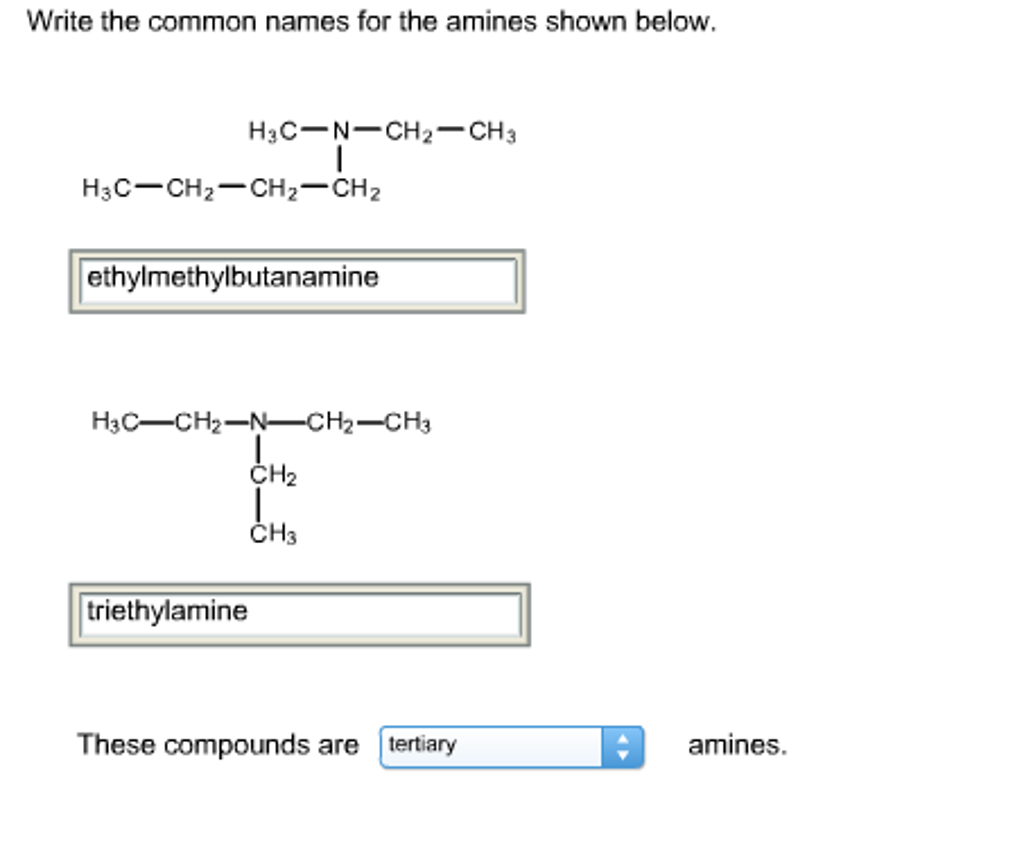Write The Common Names For These Amines