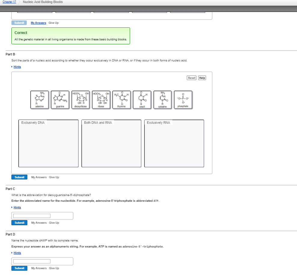 Building Blocks Of Nucleic Acids Biology at Rebecca Skinner blog