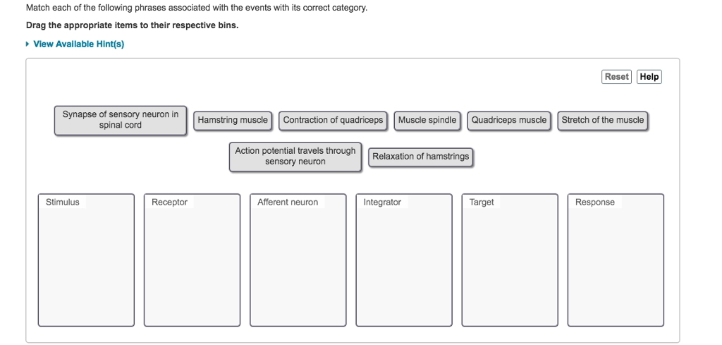 Solved Match each of the following phrases associated with | Chegg.com