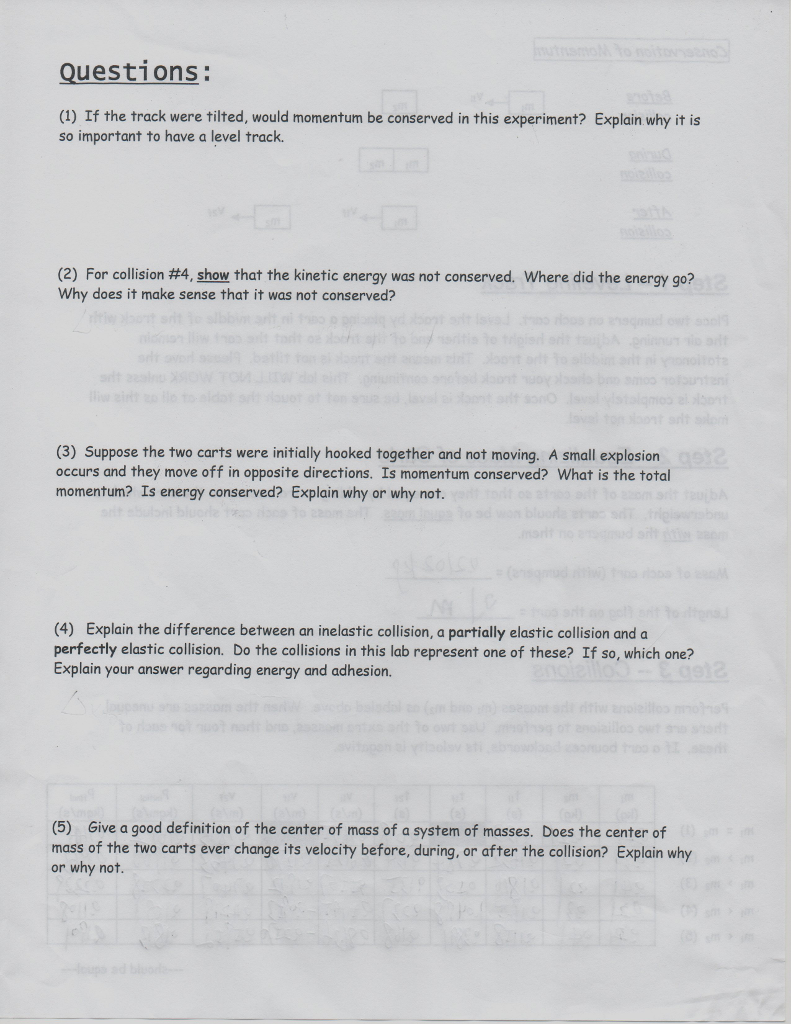 Solved Please help me finish the paper about conservation | Chegg.com