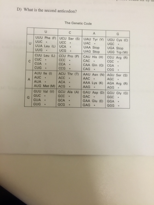 Solved D) What is the second anticodon? The Genetic Code uuu | Chegg.com
