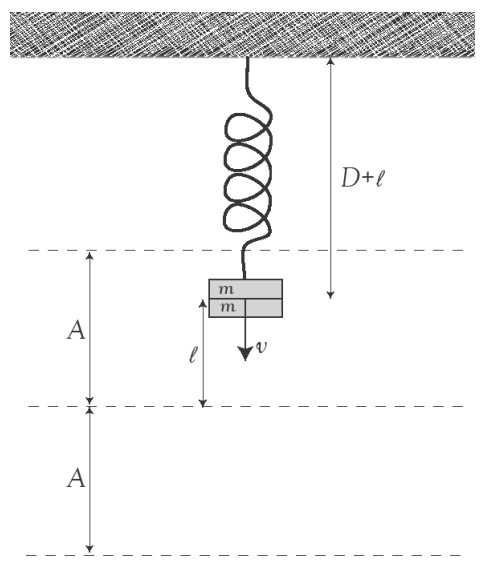 Solved A linear spring has a length D. When a mass m is hung | Chegg.com