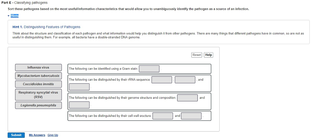 Solved Part E - Classitying pathogens Sort these pathogens | Chegg.com
