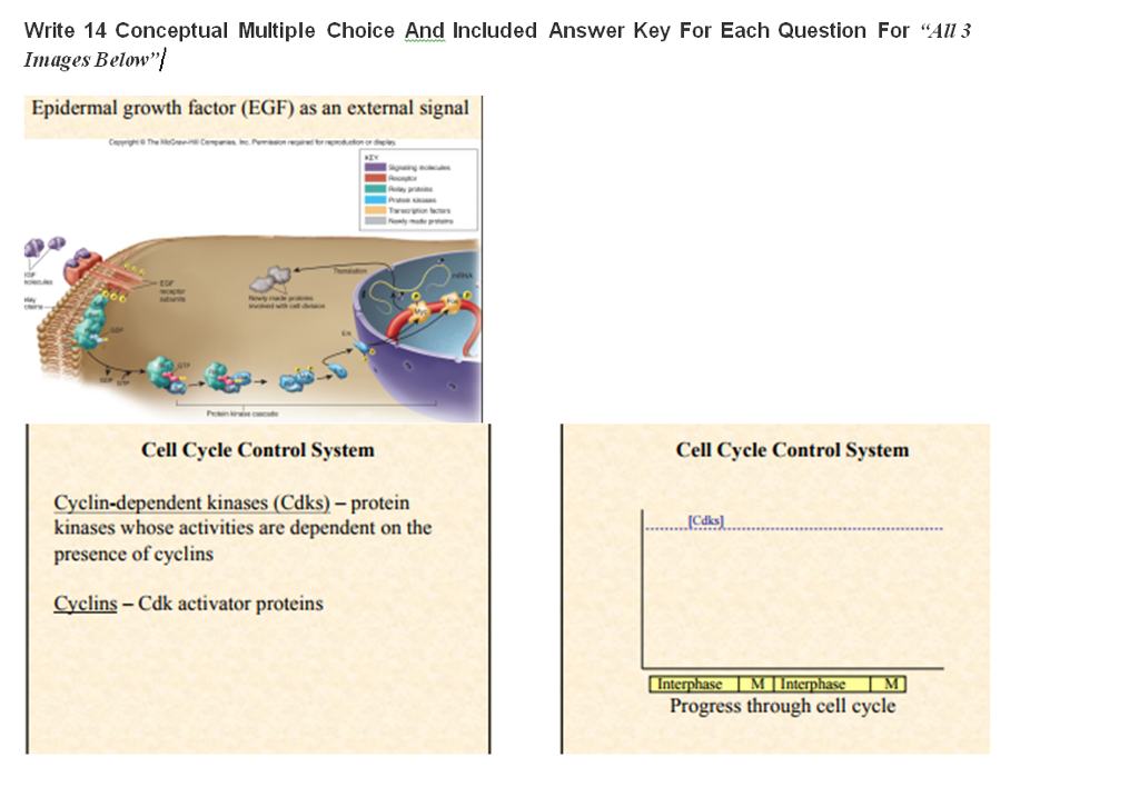 Solved Note: Write 14 Conceptual Multiple Choice And | Chegg.com