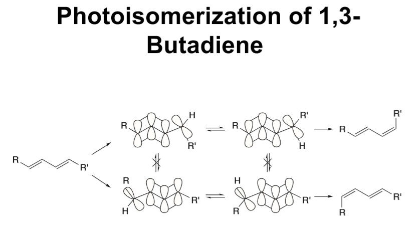 Solved Photoisomerization of 1,3- Butadiene | Chegg.com