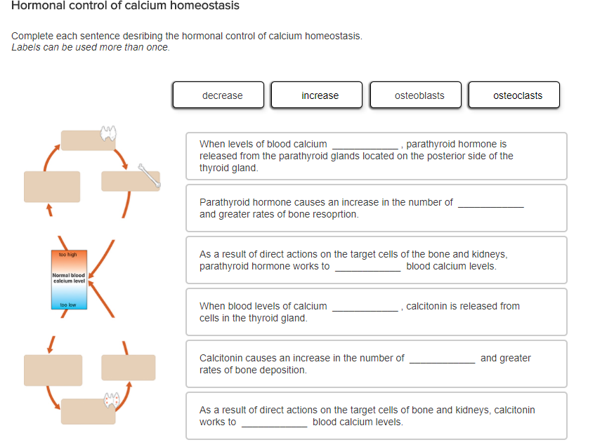 Solved Complete each sentence describing the hormonal | Chegg.com