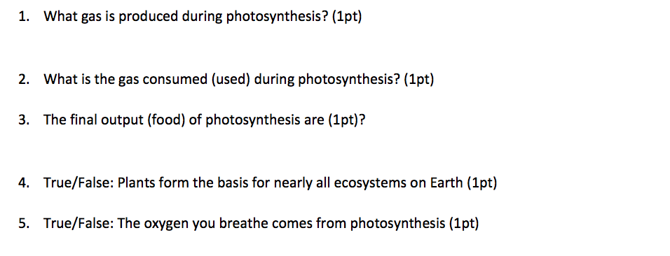 Solved 1. What gas is produced during photosynthesis? (1pt) | Chegg.com