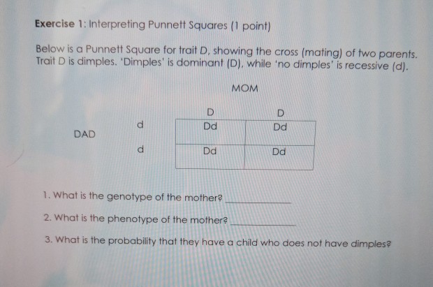 Solved Exercise 1: Interpreting Punnett Squares (1 point) | Chegg.com